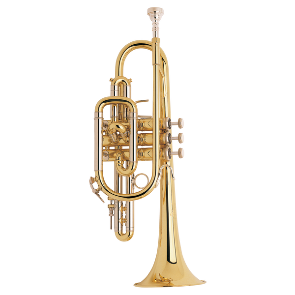 Bb Cornets - Music Elements