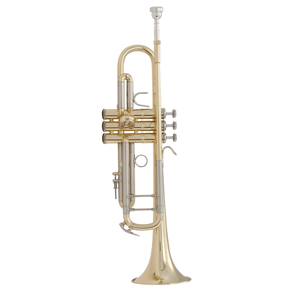 Bach - Music Elements