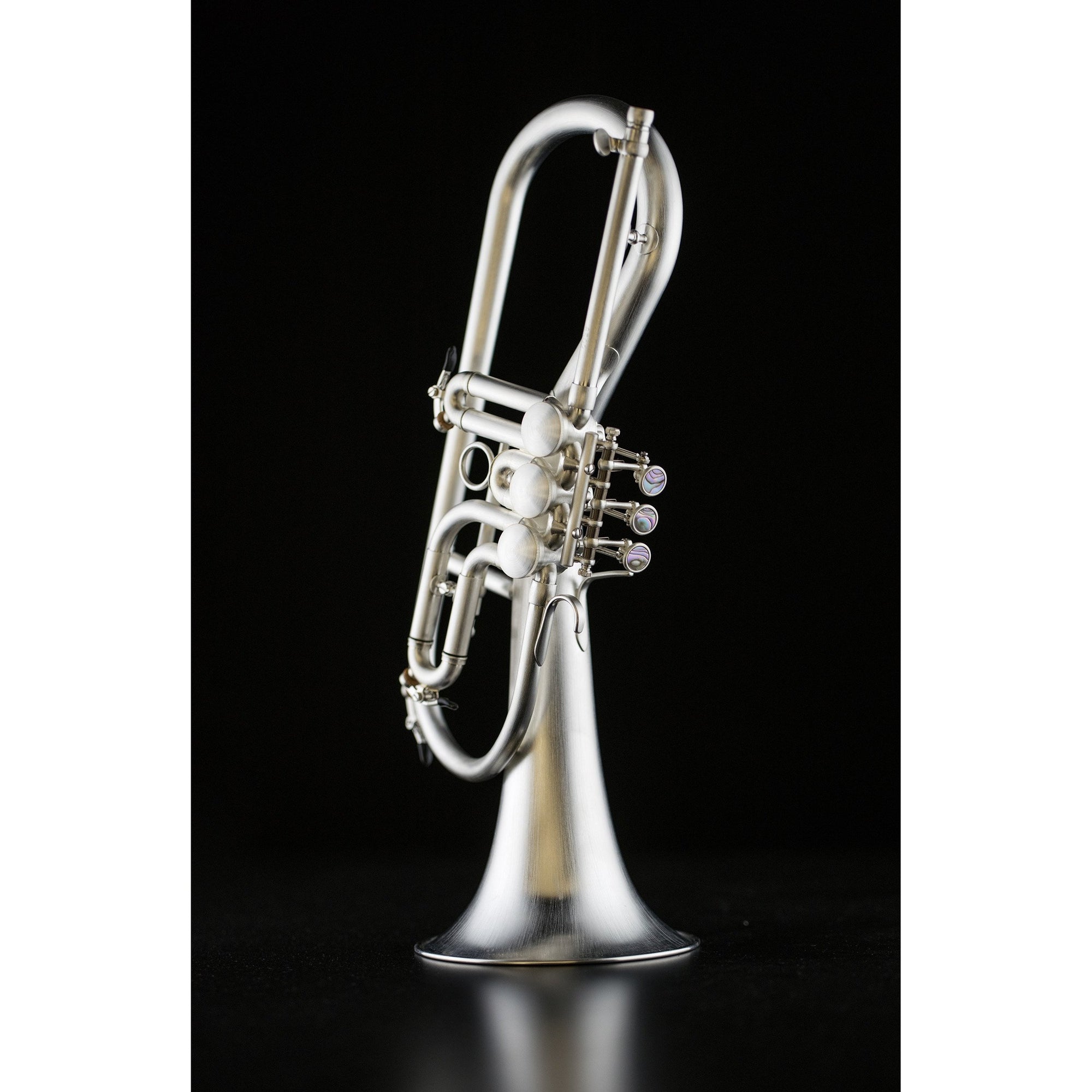 Schagerl - Meisterinstrumente - Killer Queen Rotary Flugelhorn (Vintag ...